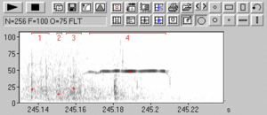 Measuring sound parameters from the spectrogram automatically - Avisoft ...
